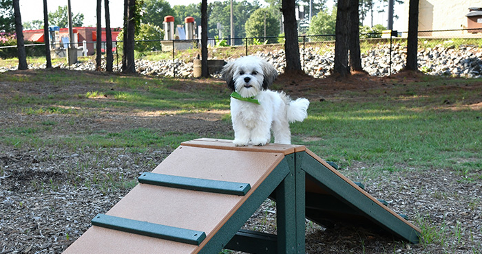 Diy Dog Park Equipment